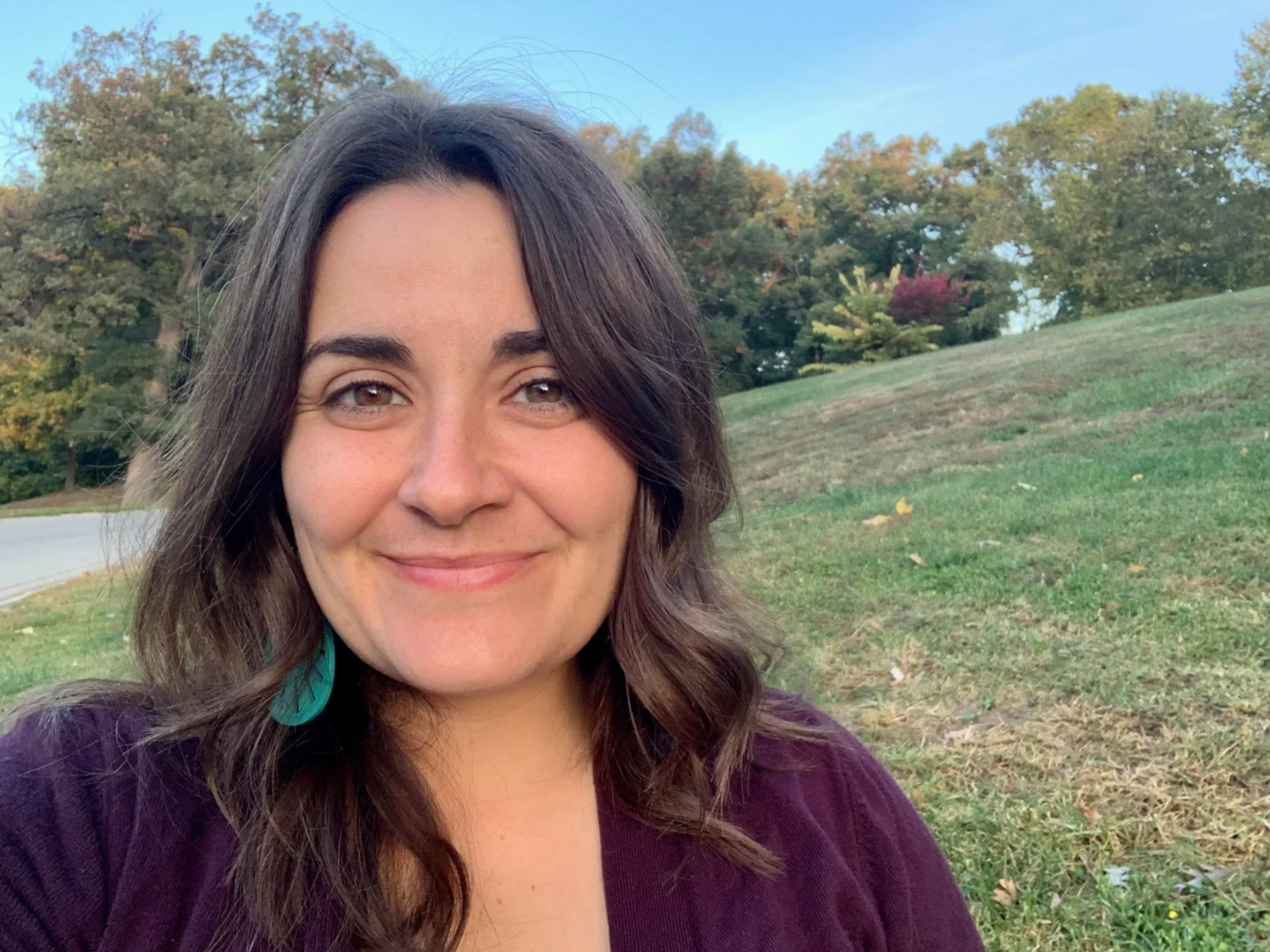 Illinois — Visions LLC