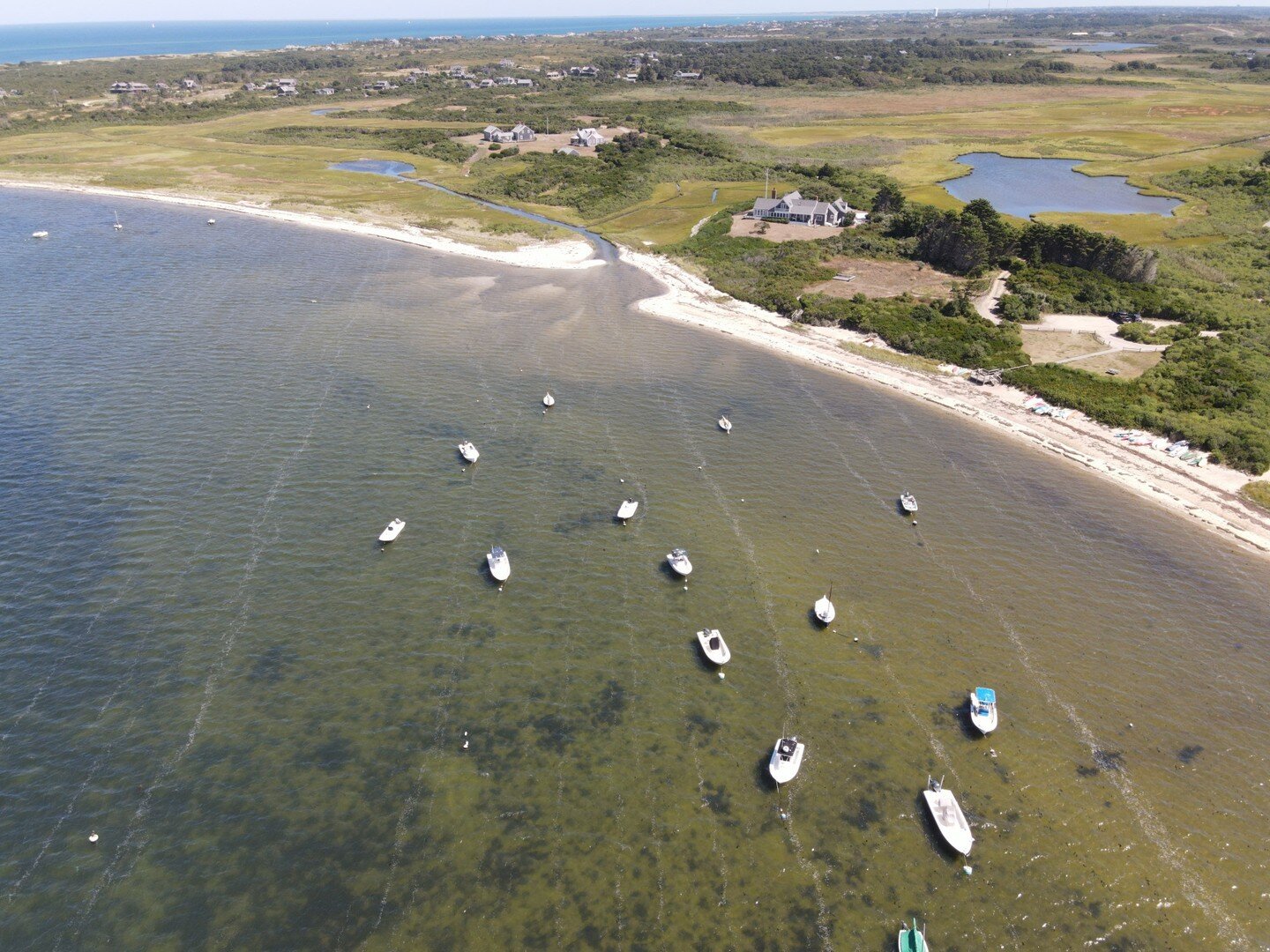 Nantucket Shellfish Association