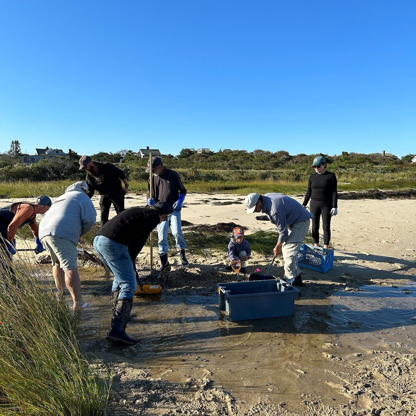 Nantucket Shellfish Association