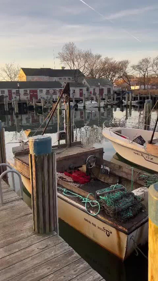 Nantucket Shellfish Association