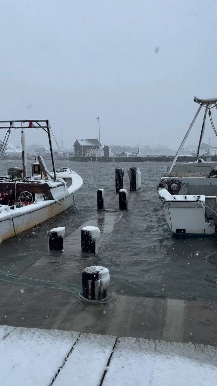 Nantucket Shellfish Association