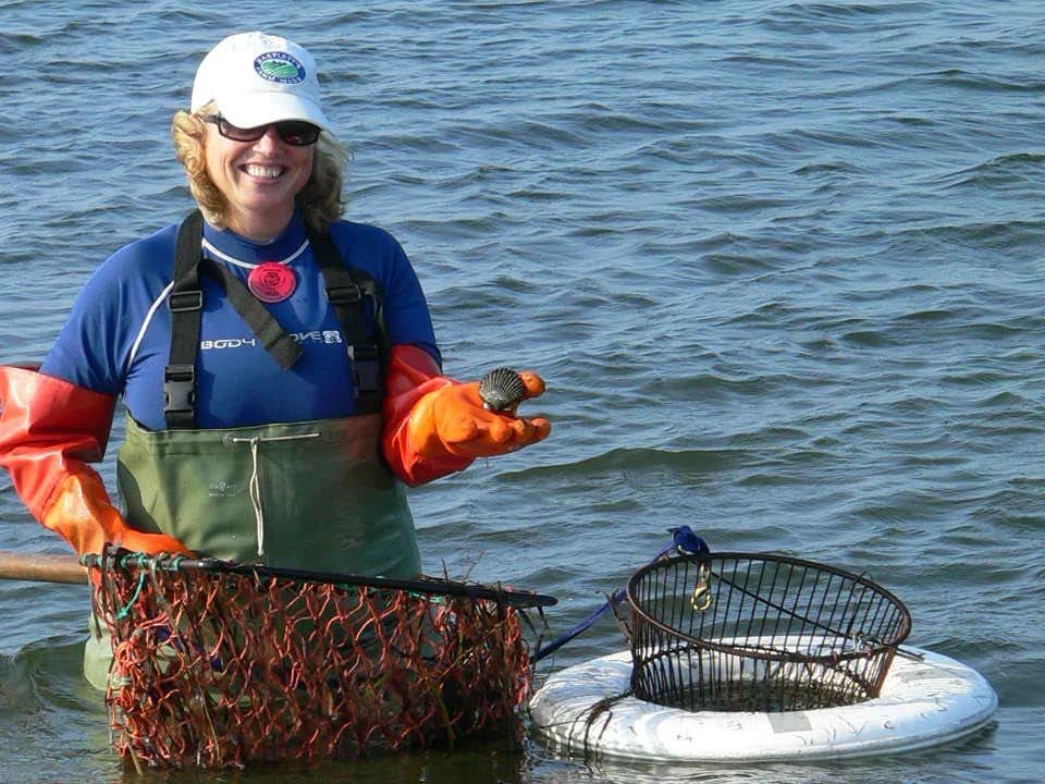 About — Nantucket Shellfish Association
