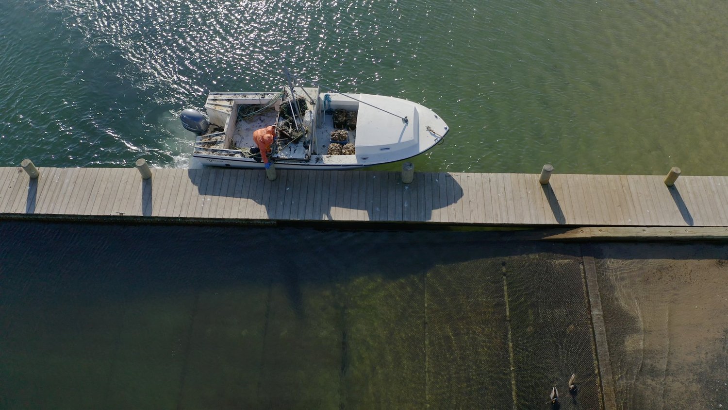 About — Nantucket Shellfish Association