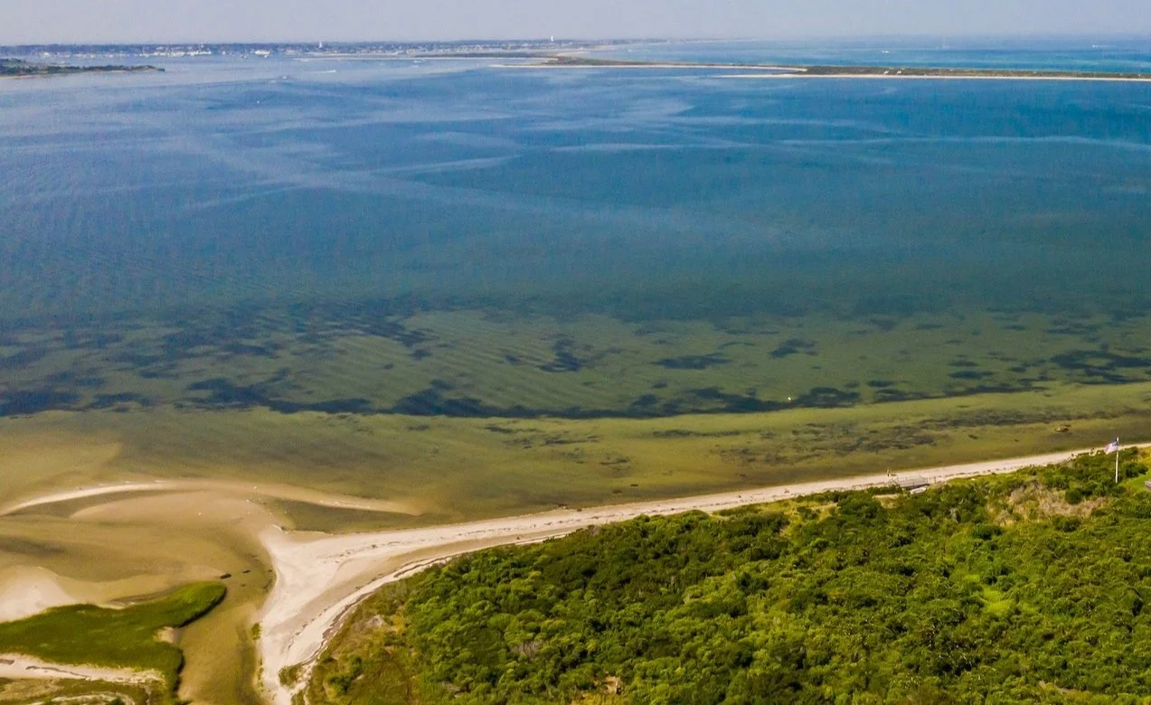 The Clean Water Coalition — Nantucket Shellfish Association