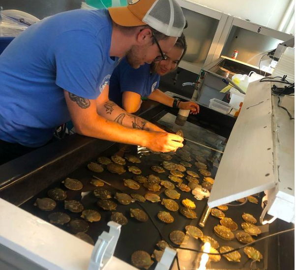 About — Nantucket Shellfish Association