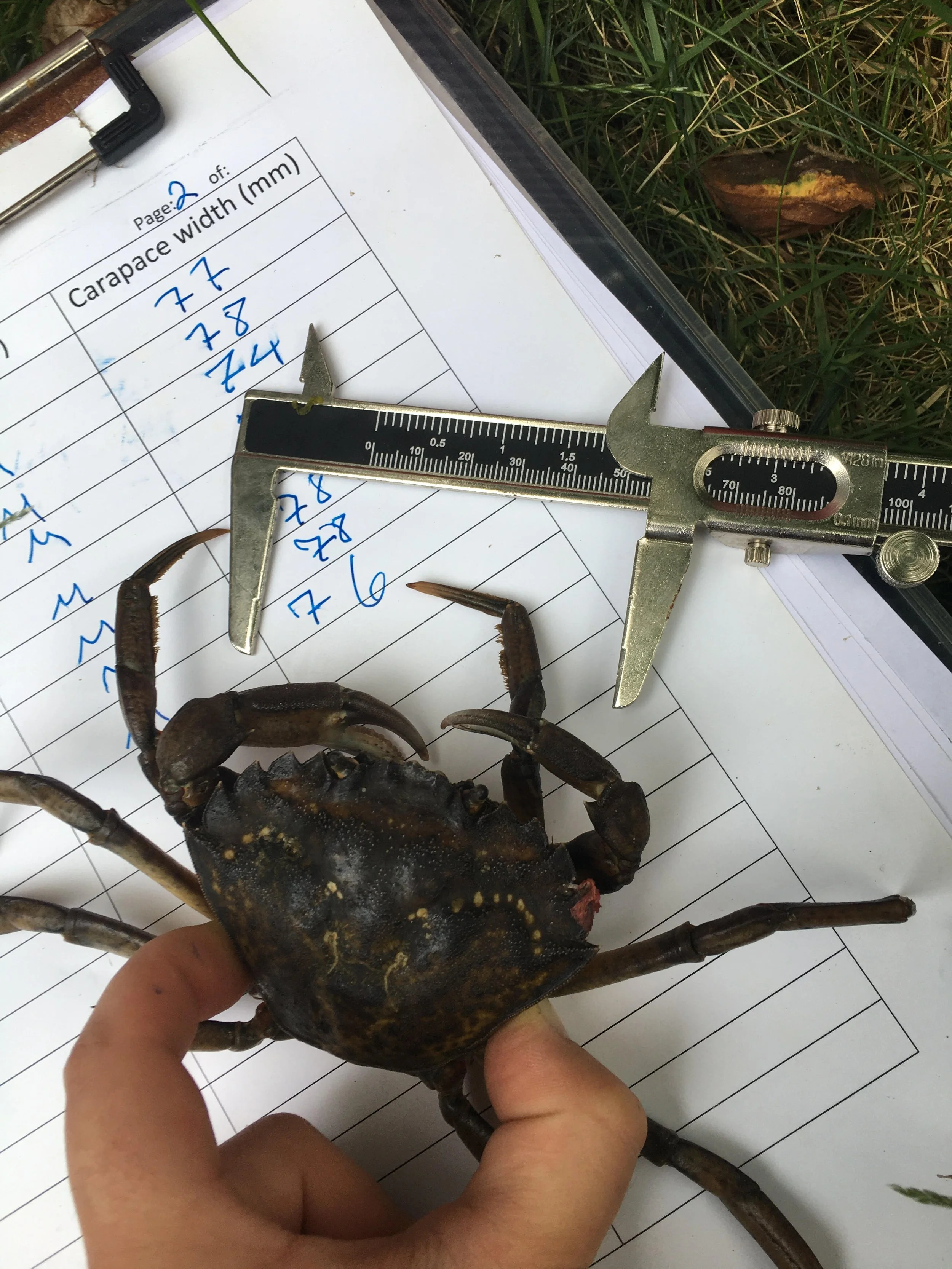 About — Nantucket Shellfish Association