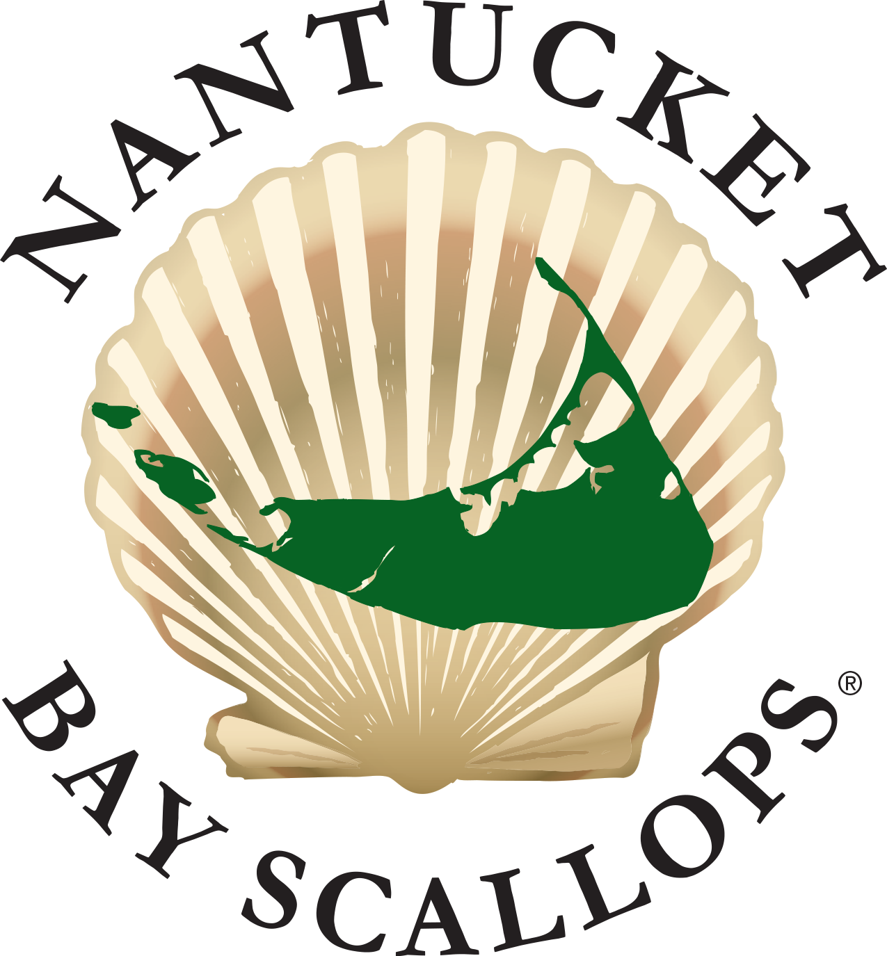 Nantucket Bay Scallops — Nantucket Shellfish Association