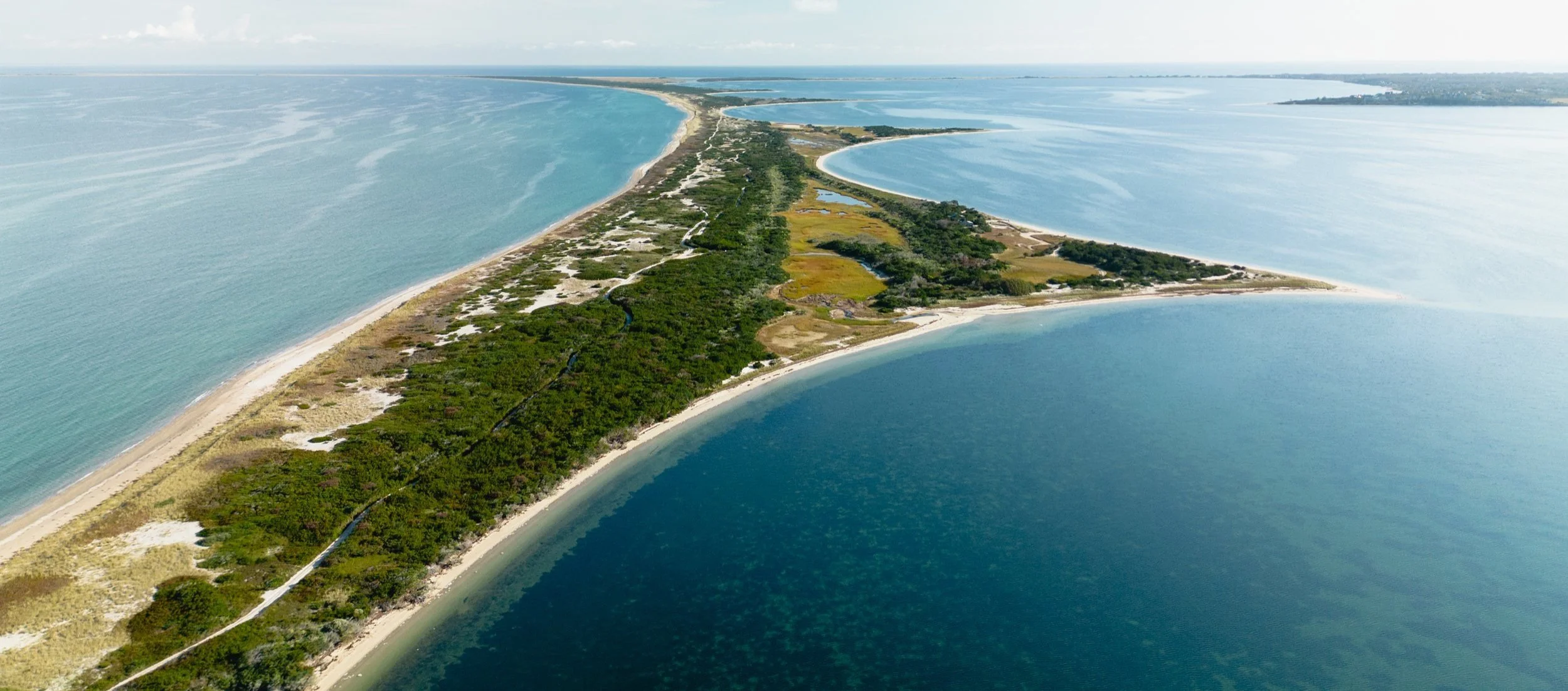 Nantucket Shellfish Association