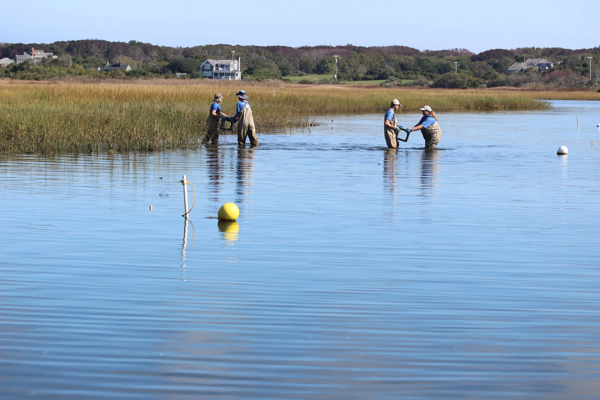 About — Nantucket Shellfish Association