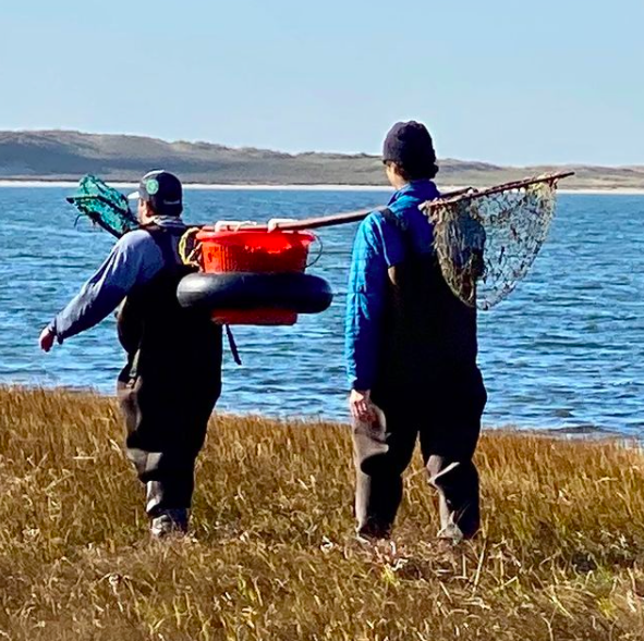 About — Nantucket Shellfish Association