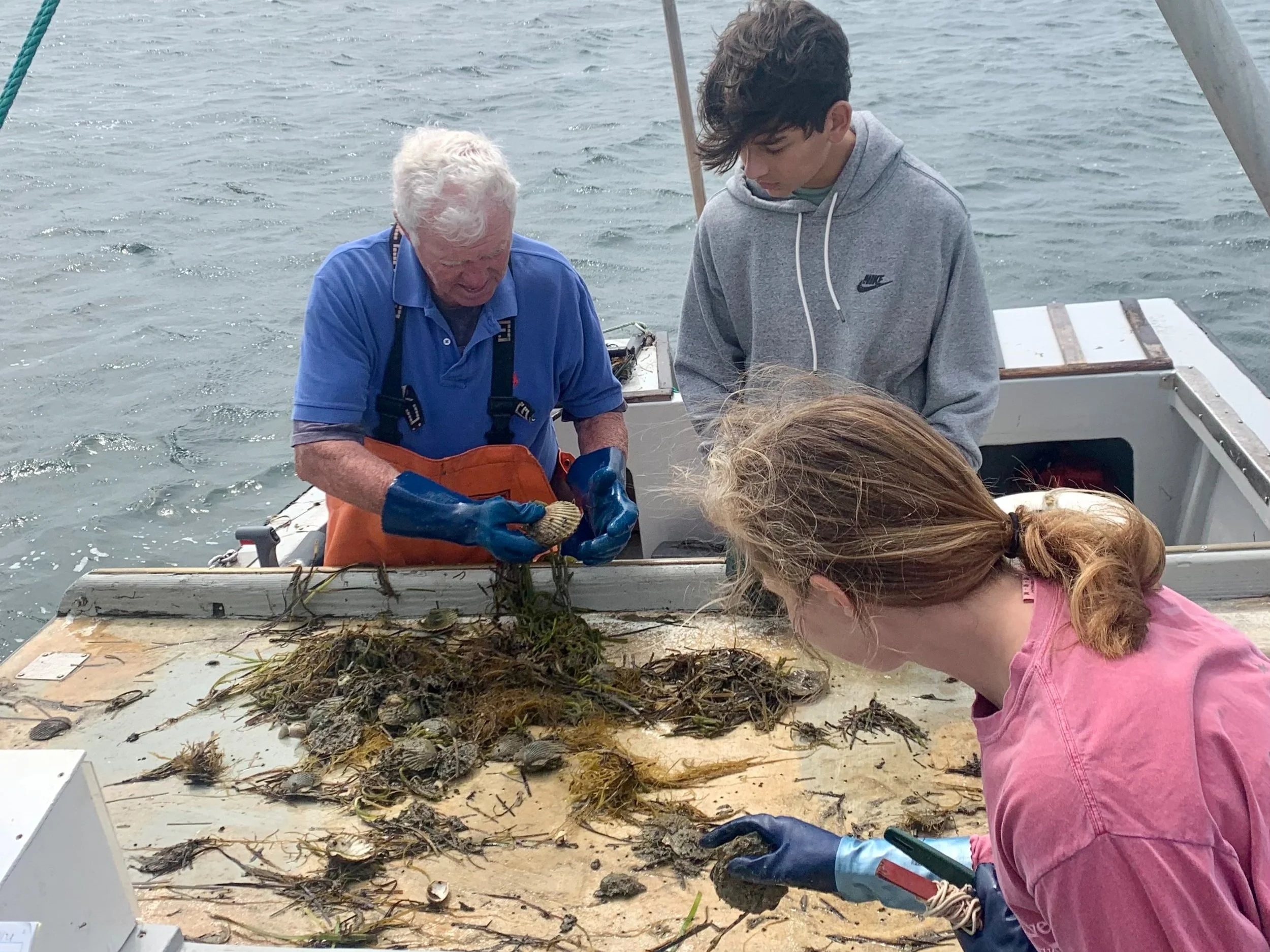 Our Work — Nantucket Shellfish Association