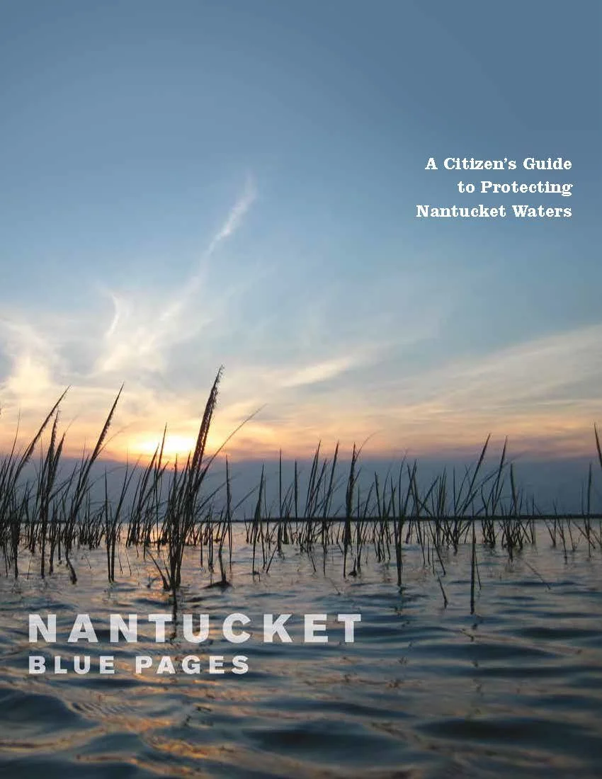 Nantucket Blue Pages — Nantucket Shellfish Association