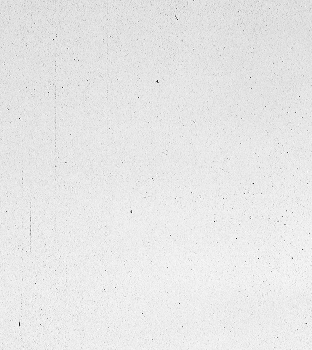 Worcester Rugby Community