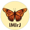 IMIrJ - Advancing Immigrant Justice Through Faith-Based Community Support