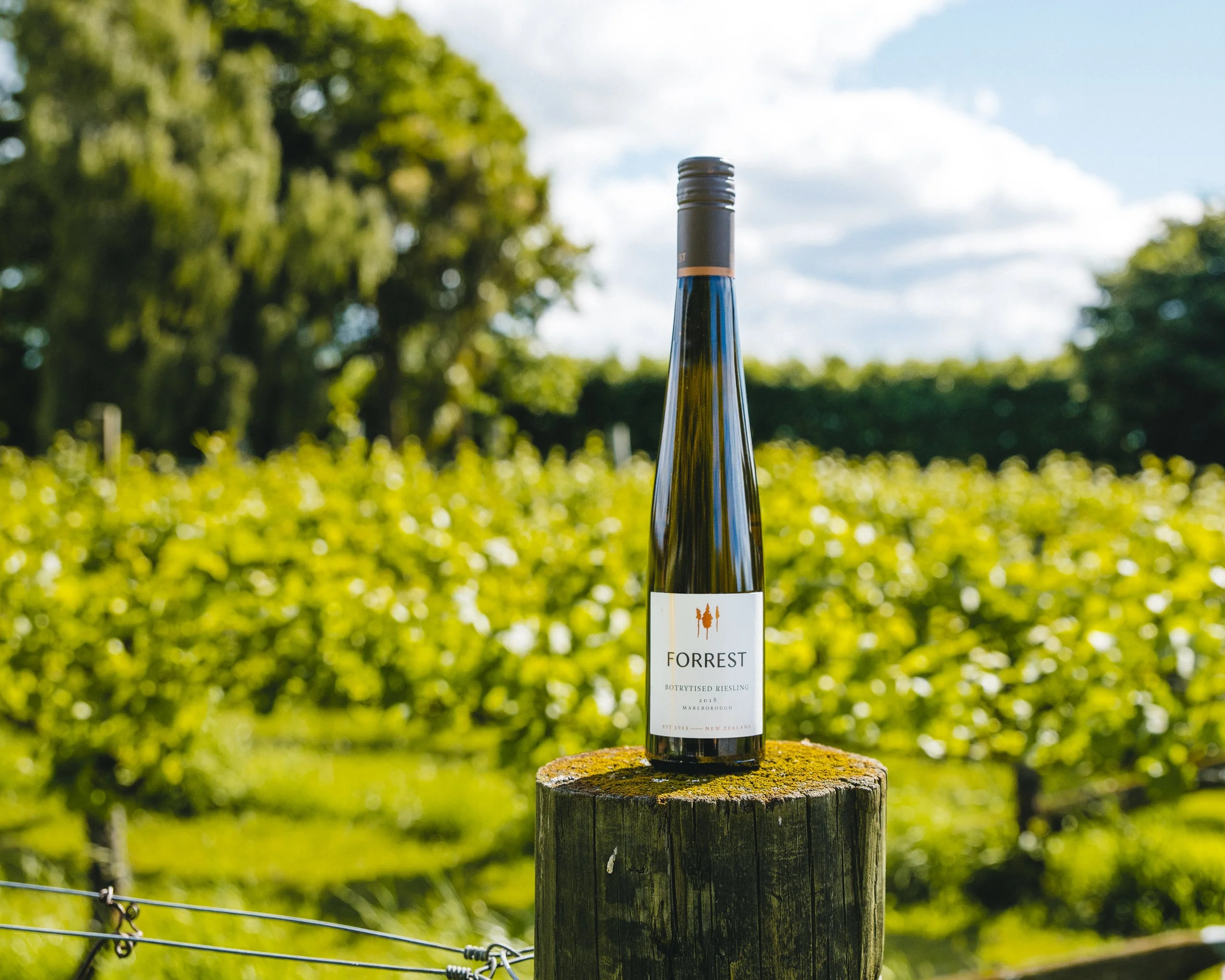 Champion Sweet Wine — Marlborough Wine