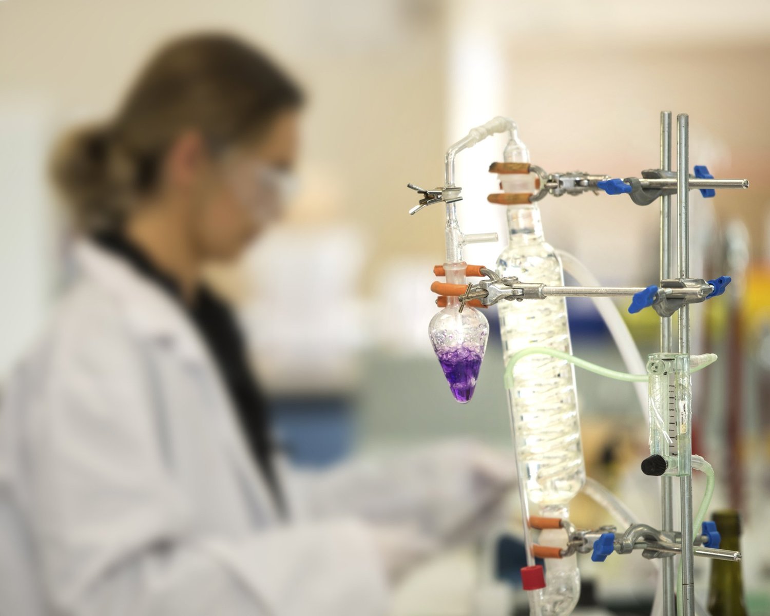 Annual Celebrations — Marlborough Wine