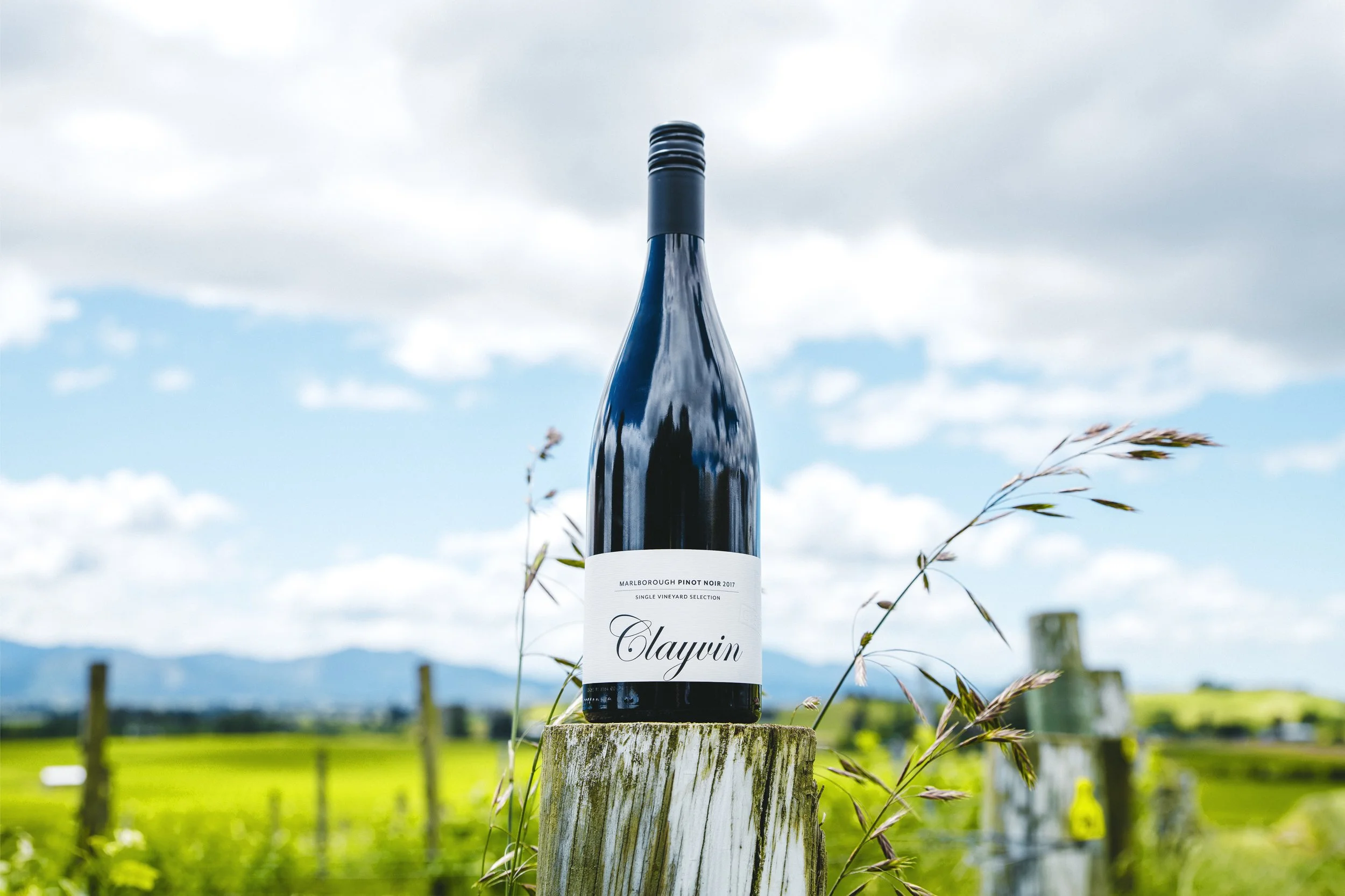 Best Organic Wine — Marlborough Wine