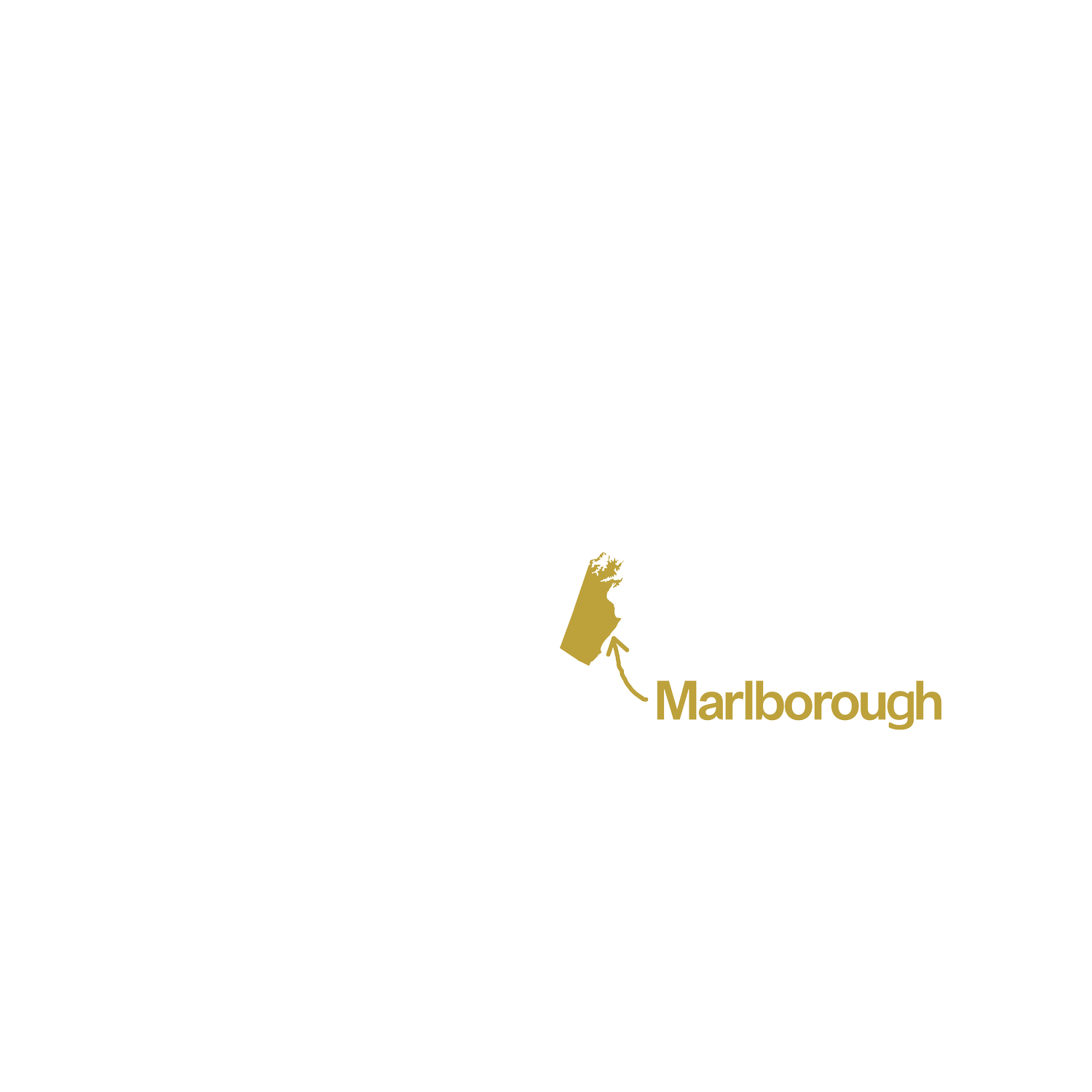 Marlborough Wine | Region, Visit, Wineries, Events & News