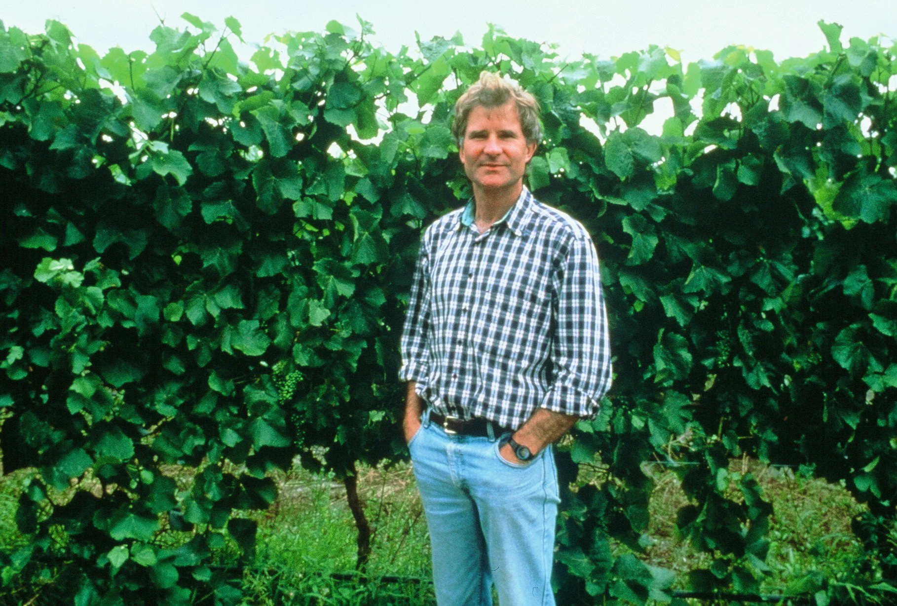 Cloudy Bay — Marlborough Wine