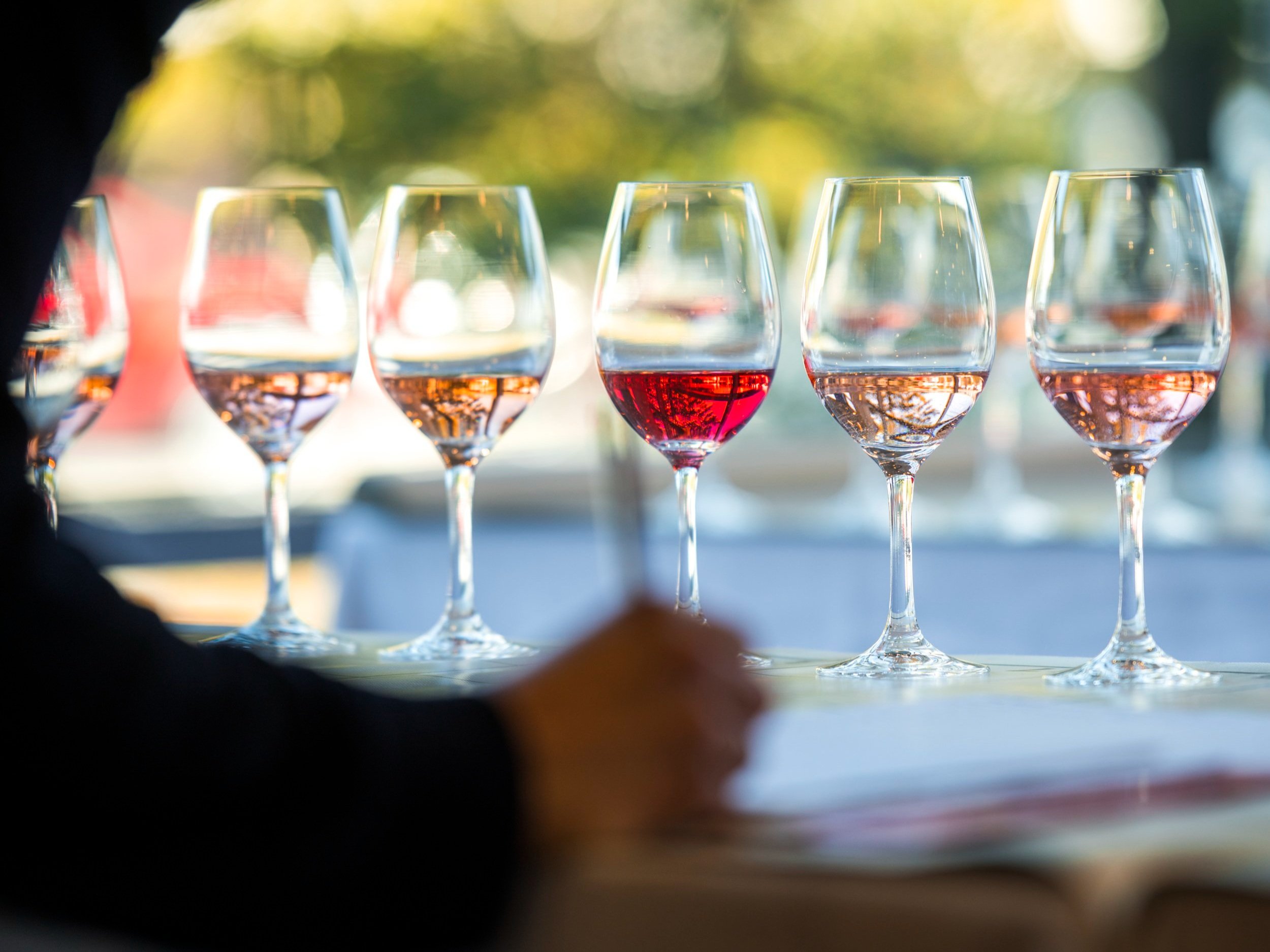 Varieties & Styles — Marlborough Wine