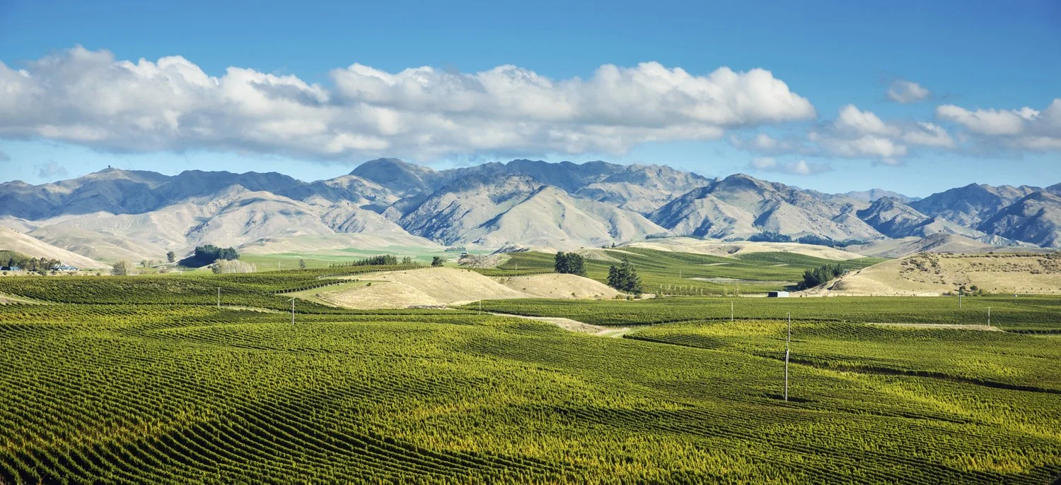 NZ to host new 2024 international wine trade event in Blenheim ...