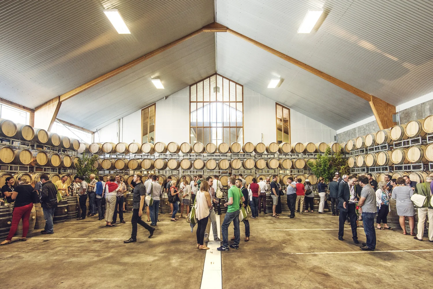 Wineries — Marlborough Wine