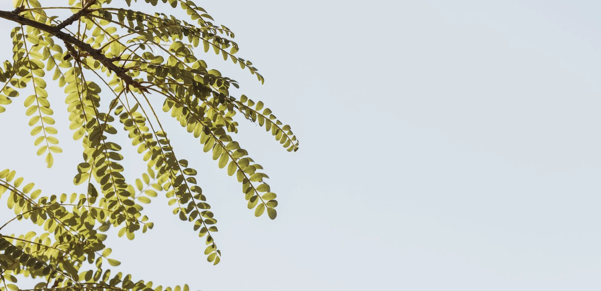 Spiritual Growth Ministries Aotearoa, New Zealand | Contemplative ...