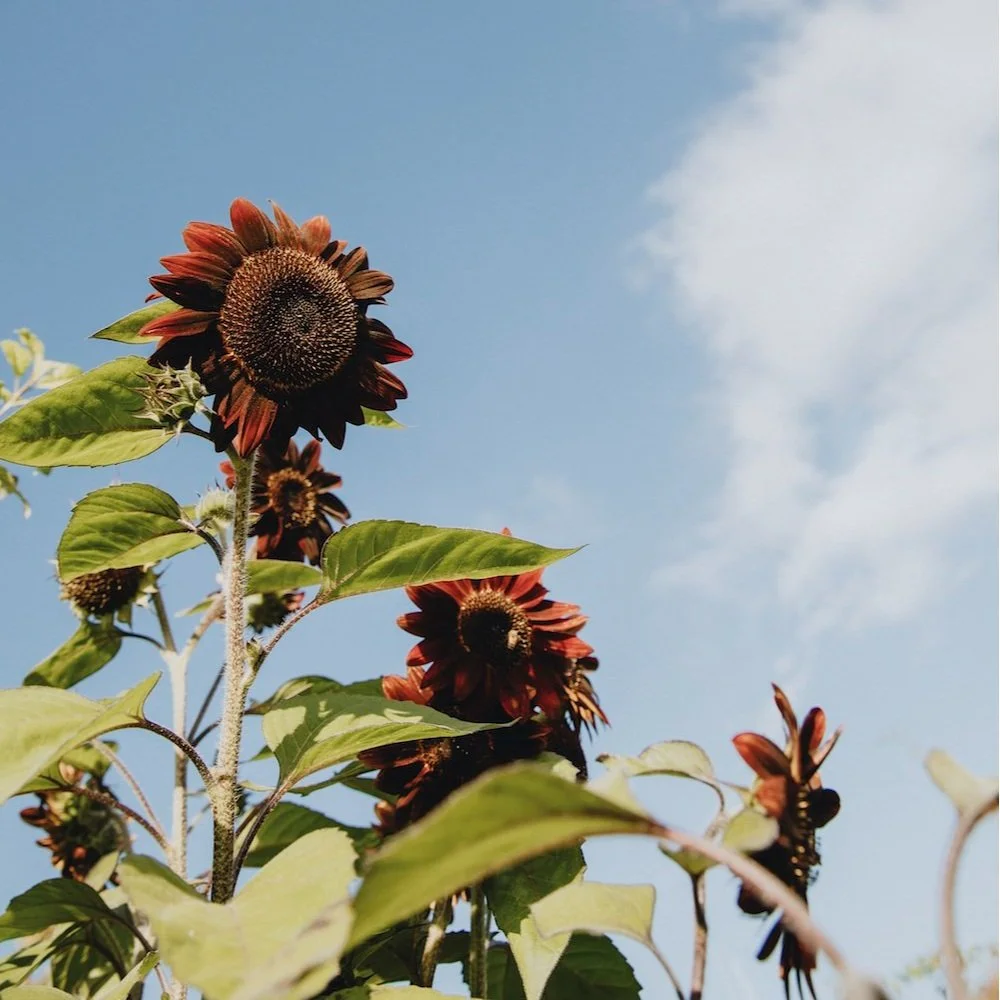 Spiritual Growth Ministries Aotearoa, New Zealand | Contemplative ...