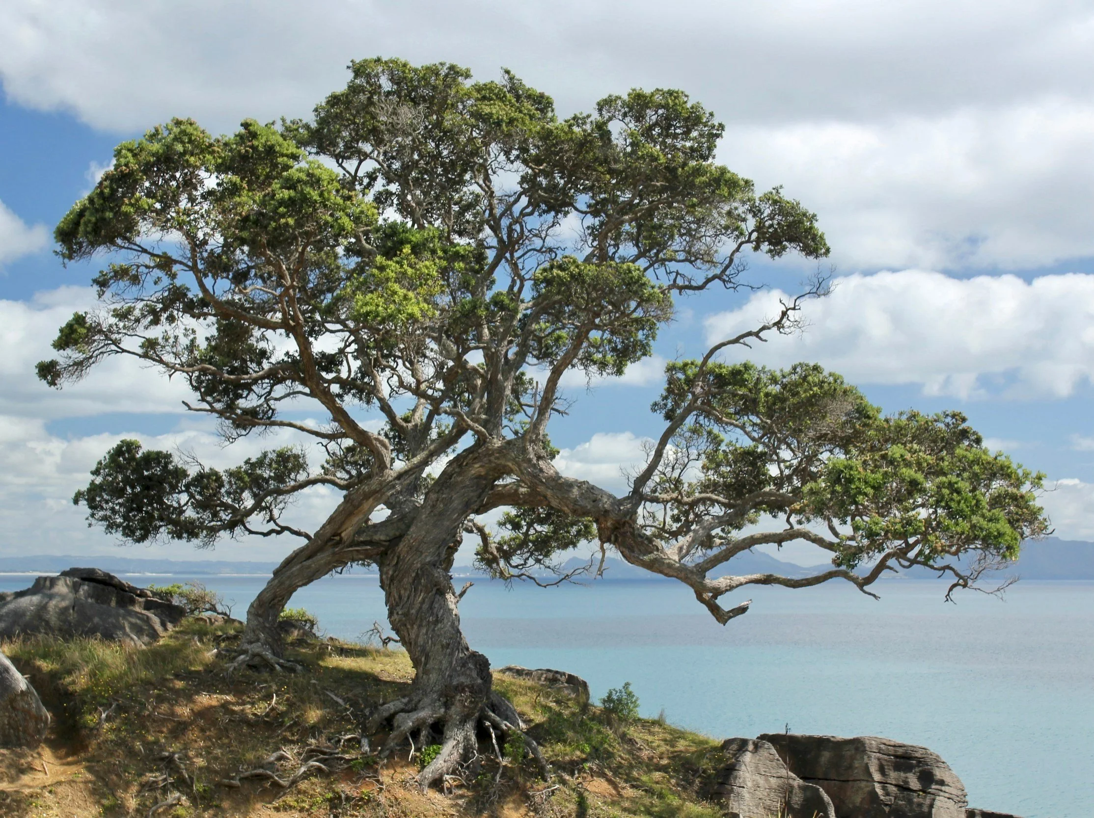 Spiritual Growth Ministries Aotearoa, New Zealand | Contemplative ...