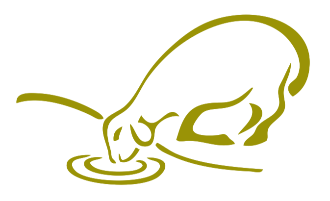 Spiritual Growth Ministries Aotearoa, New Zealand | Contemplative ...