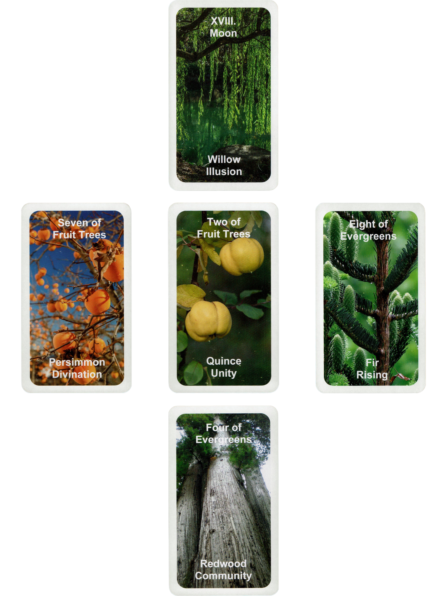 A cup in each hand; a Two of Cups Tarot Spread. — kimberly essex