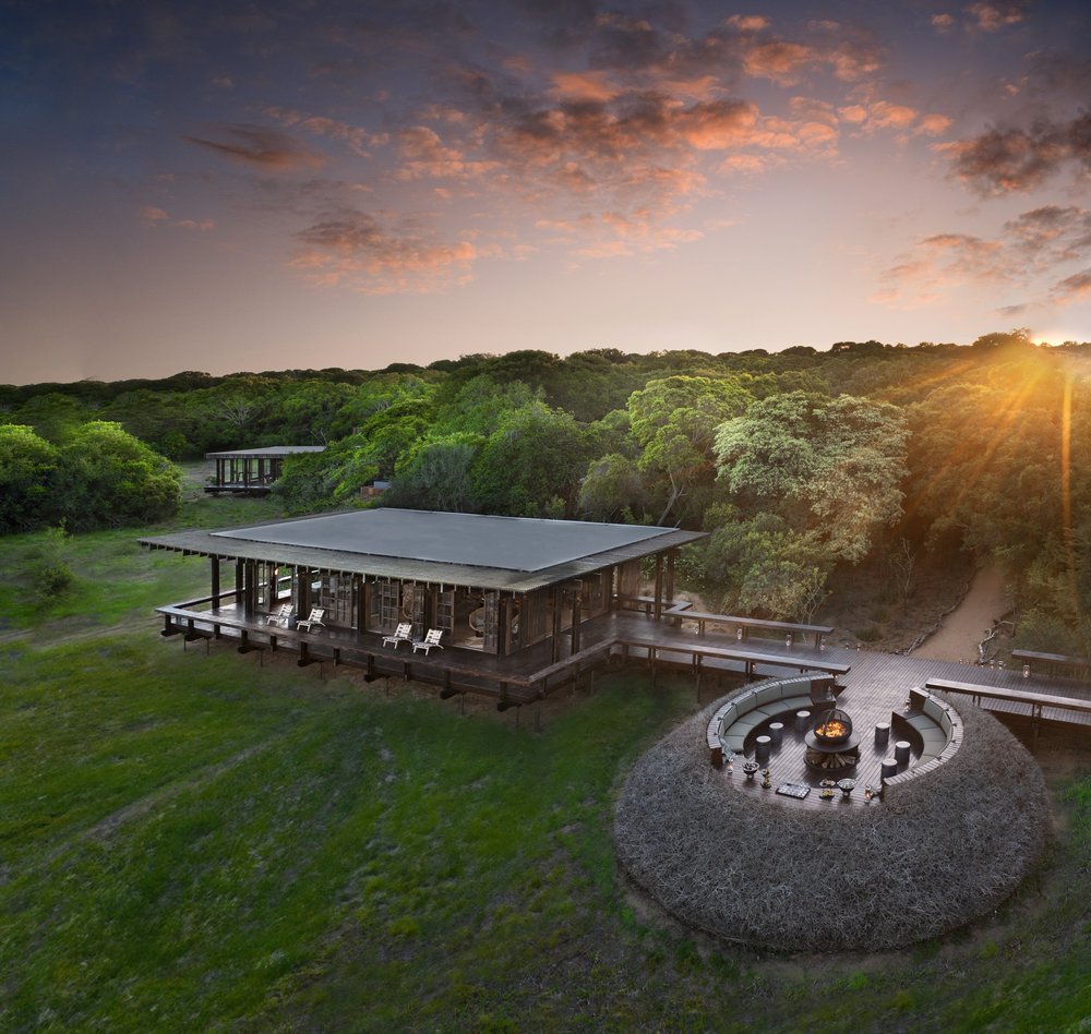 Phinda Forest Lodge — Jack Alexander Studio