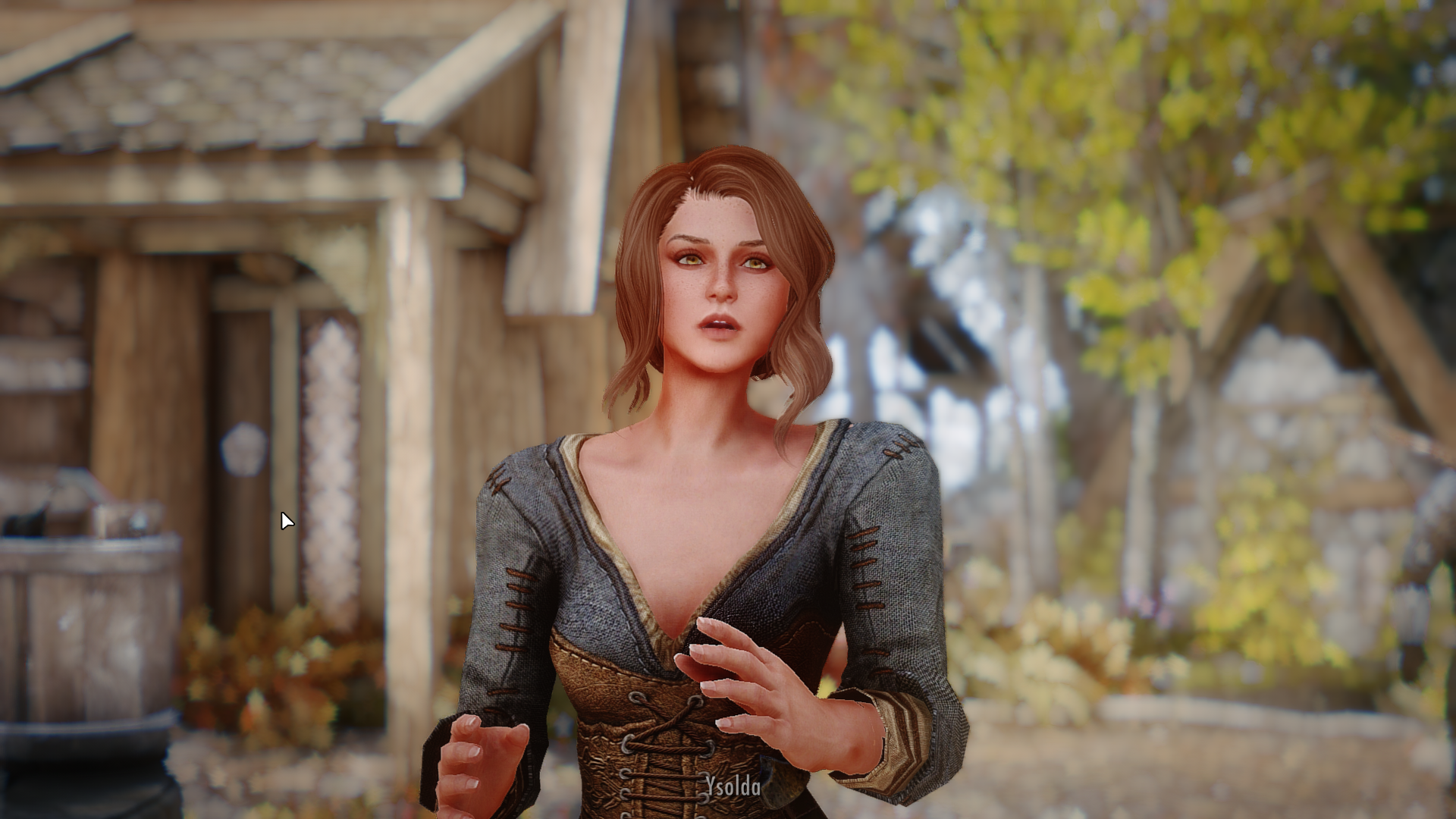 Vanguard — Distar animations