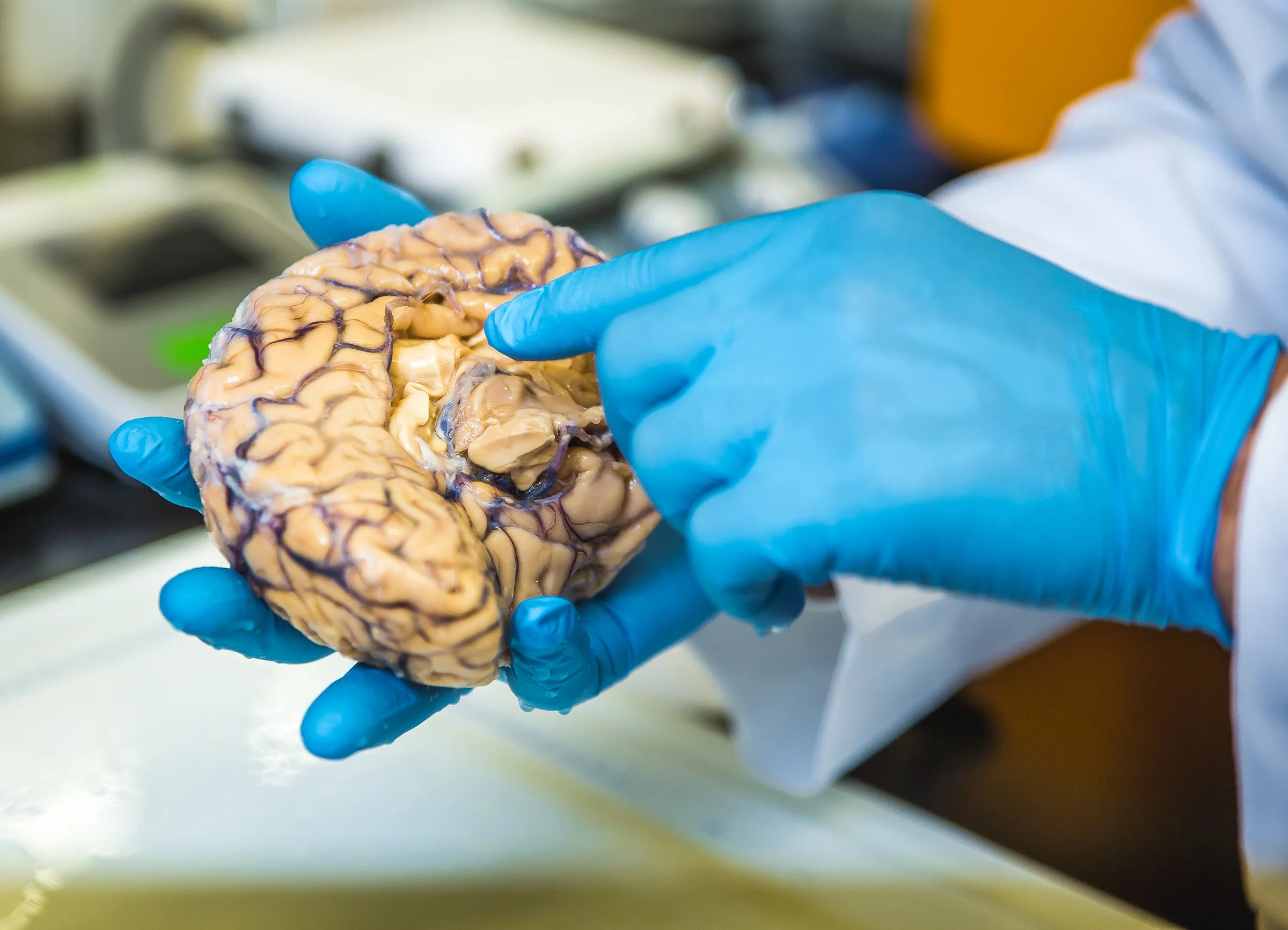 McKee Foundation Awards $20,000 Research Grant to TTUHSC El Paso’s ...