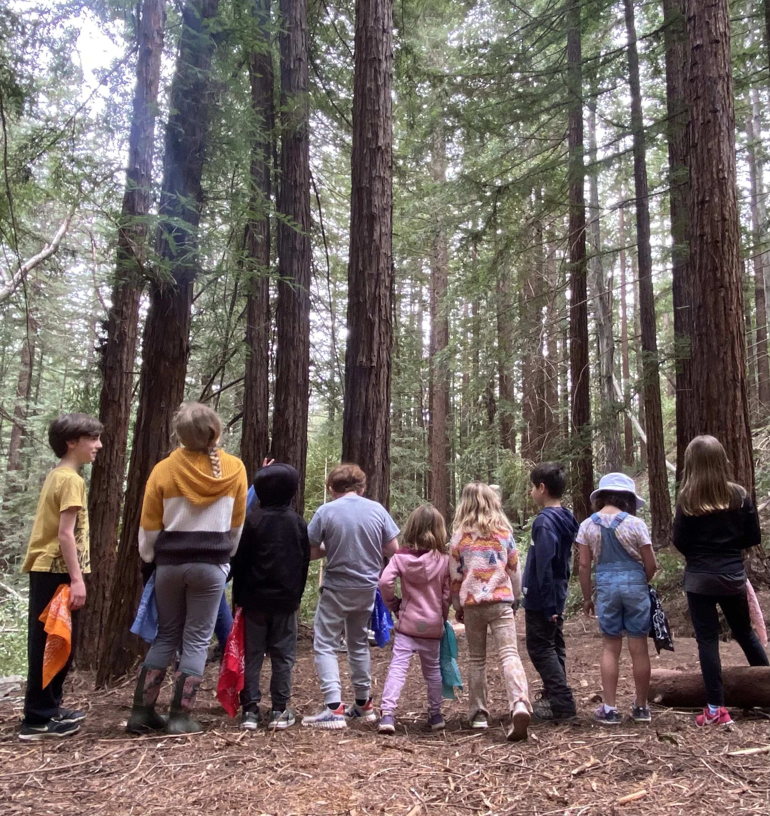 TRUE ROOTS NATURE NETWORK