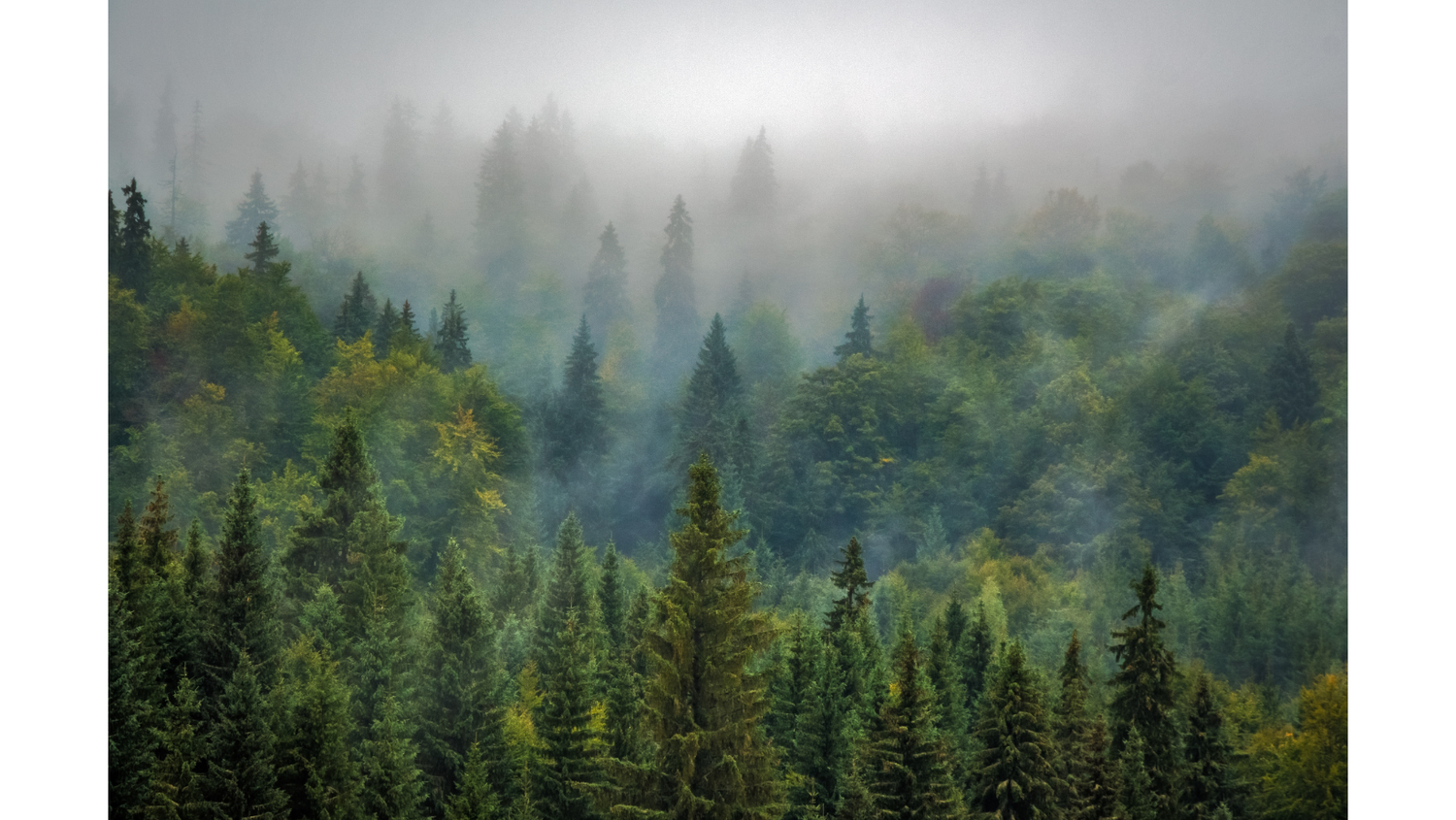 School Programs — TRUE ROOTS NATURE NETWORK