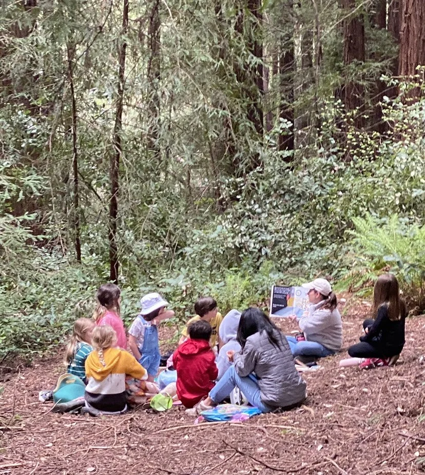 TRUE ROOTS NATURE NETWORK