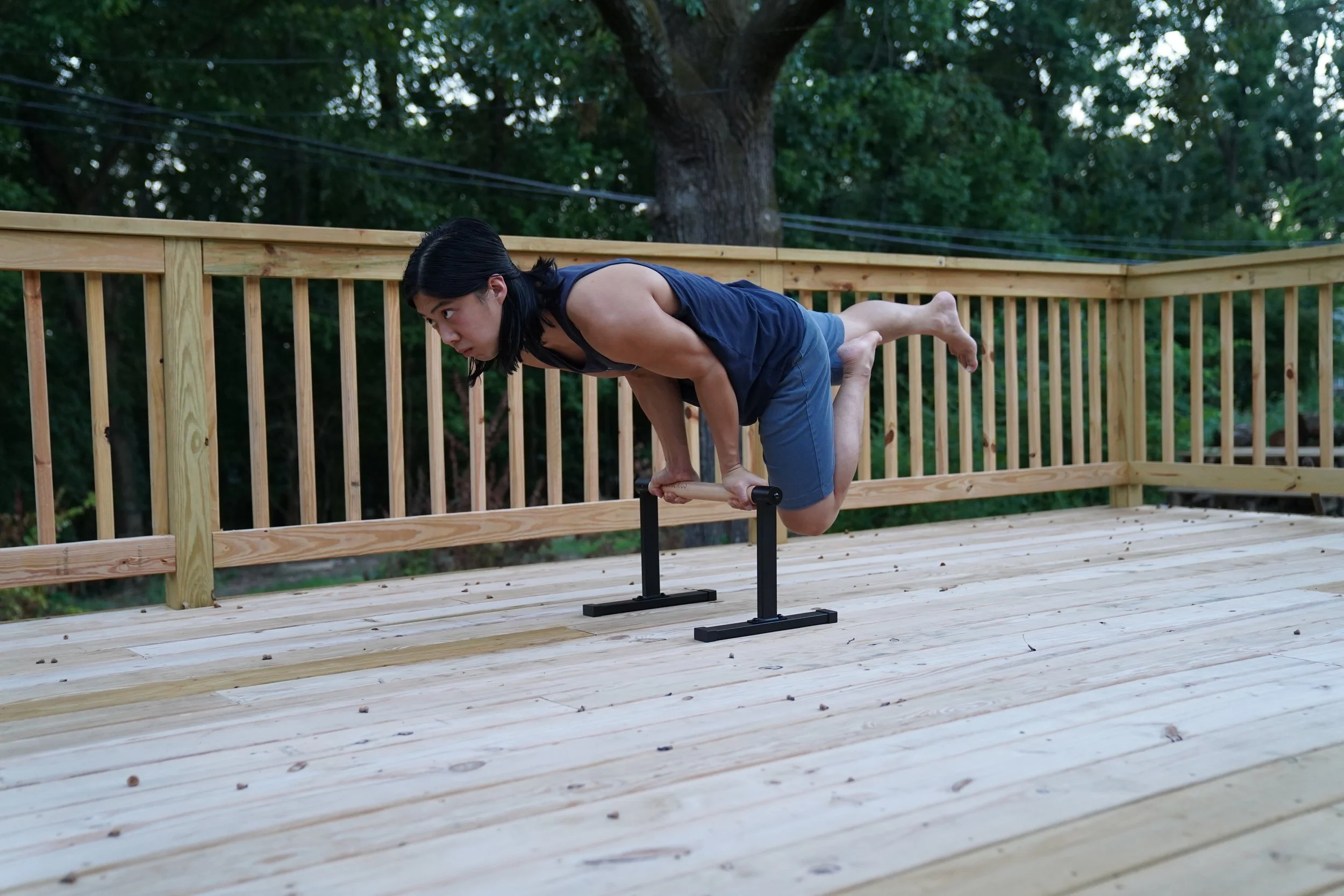 Elbow Levers | Start Your Calisthenics Journey — Hybrid Calisthenics