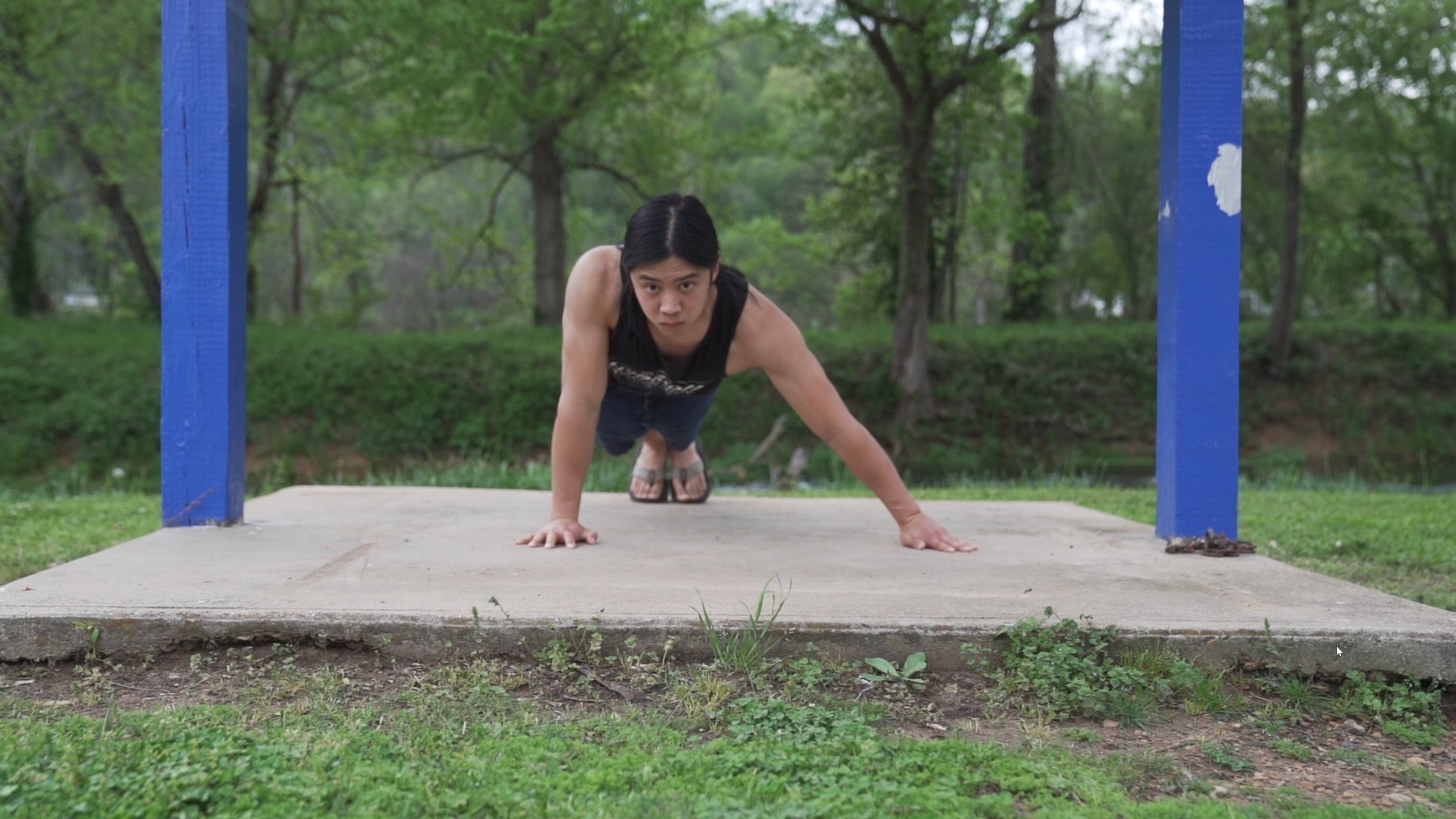 Pushups | Enhance Your Strength Now — Hybrid Calisthenics