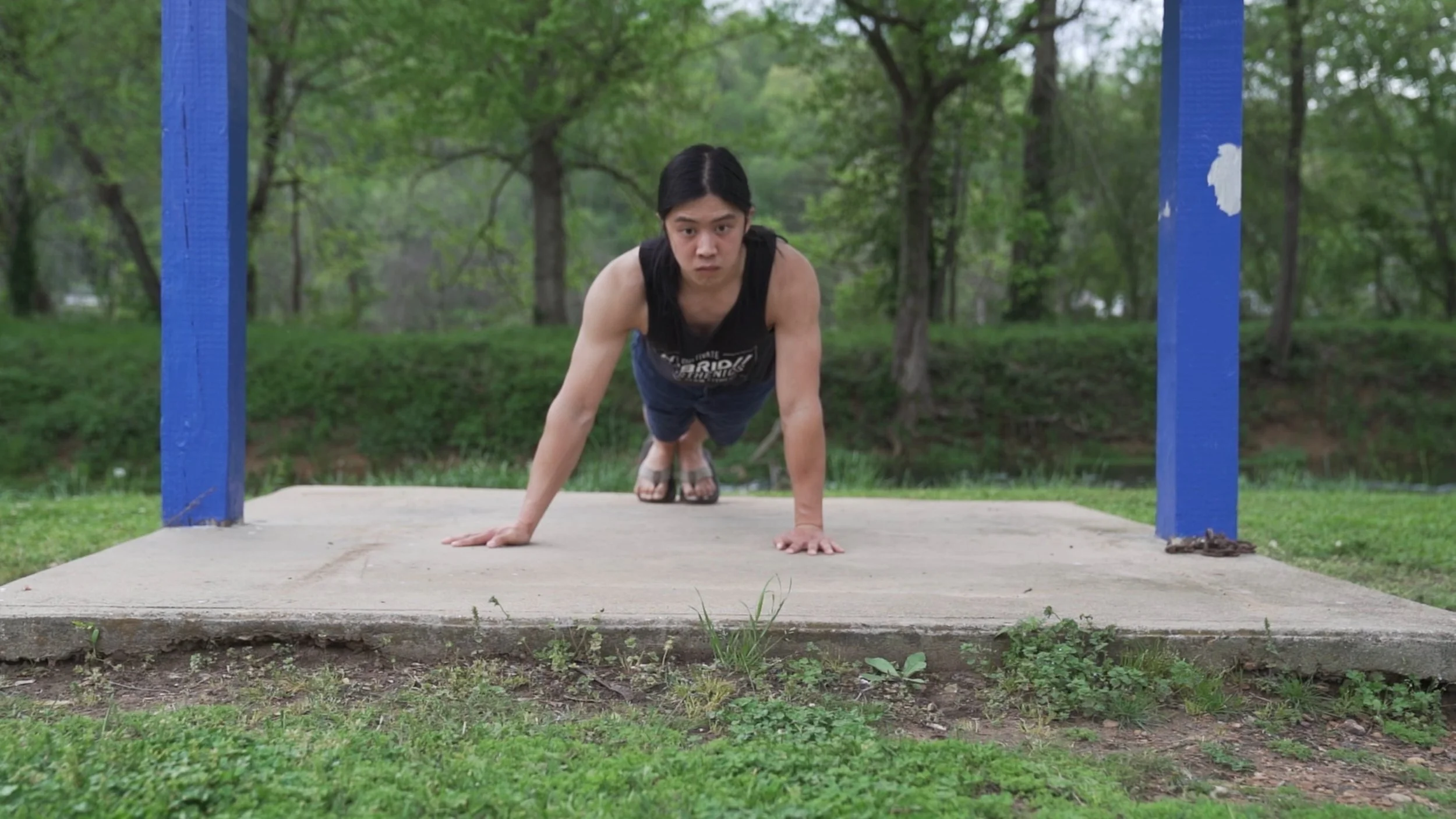 Pushups | Enhance Your Strength Now — Hybrid Calisthenics