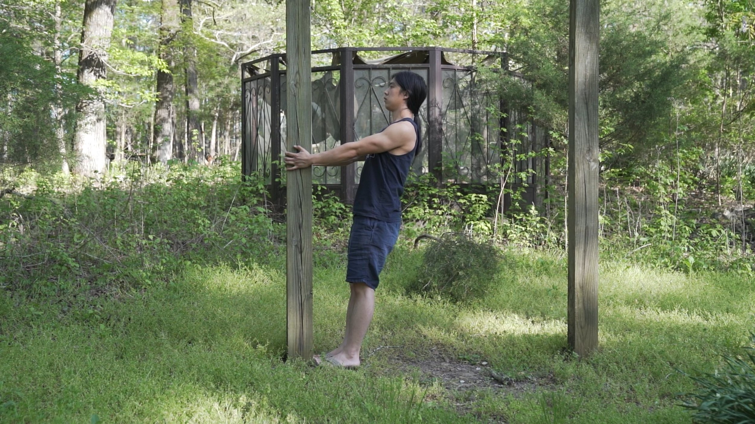Pullups — Hybrid Calisthenics Pullups — Hybrid Calisthenics