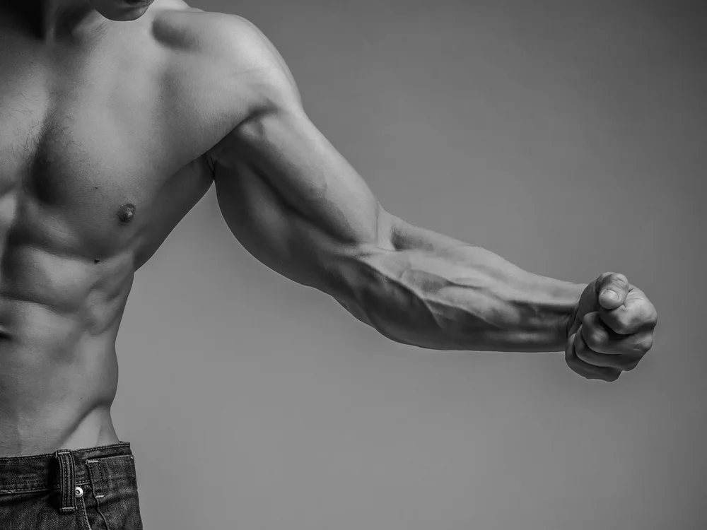 Exercise Library | Explore, Learn, Achieve Today — Hybrid Calisthenics