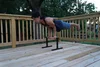 Elbow Levers | Start Your Calisthenics Journey — Hybrid Calisthenics