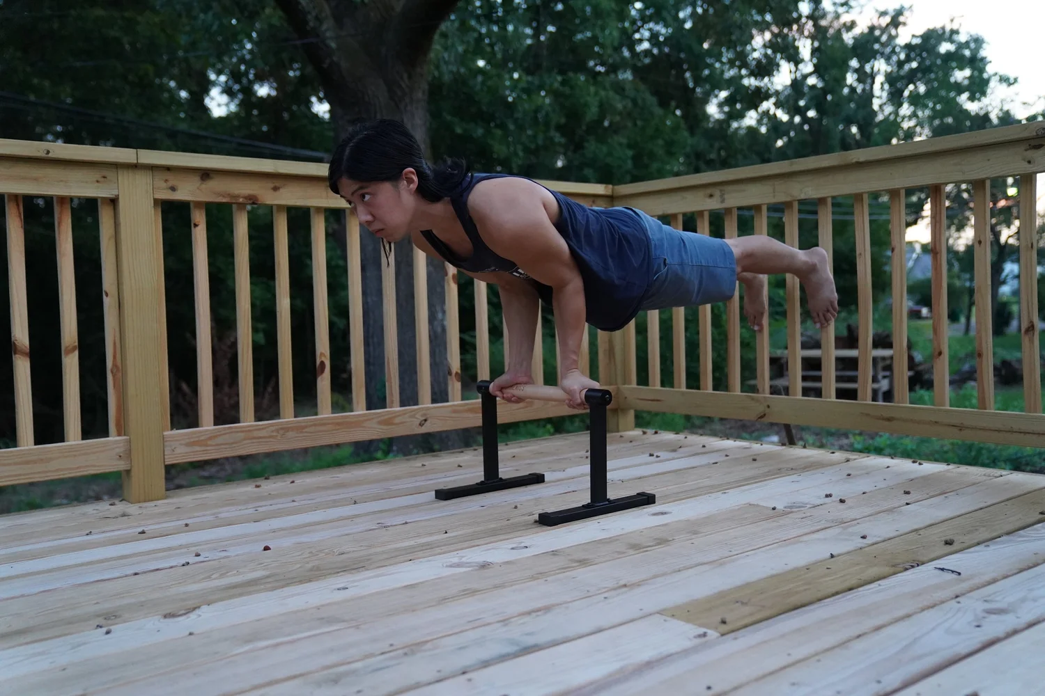 Wall Elbow Levers | Enhance Your Strength Today — Hybrid Calisthenics