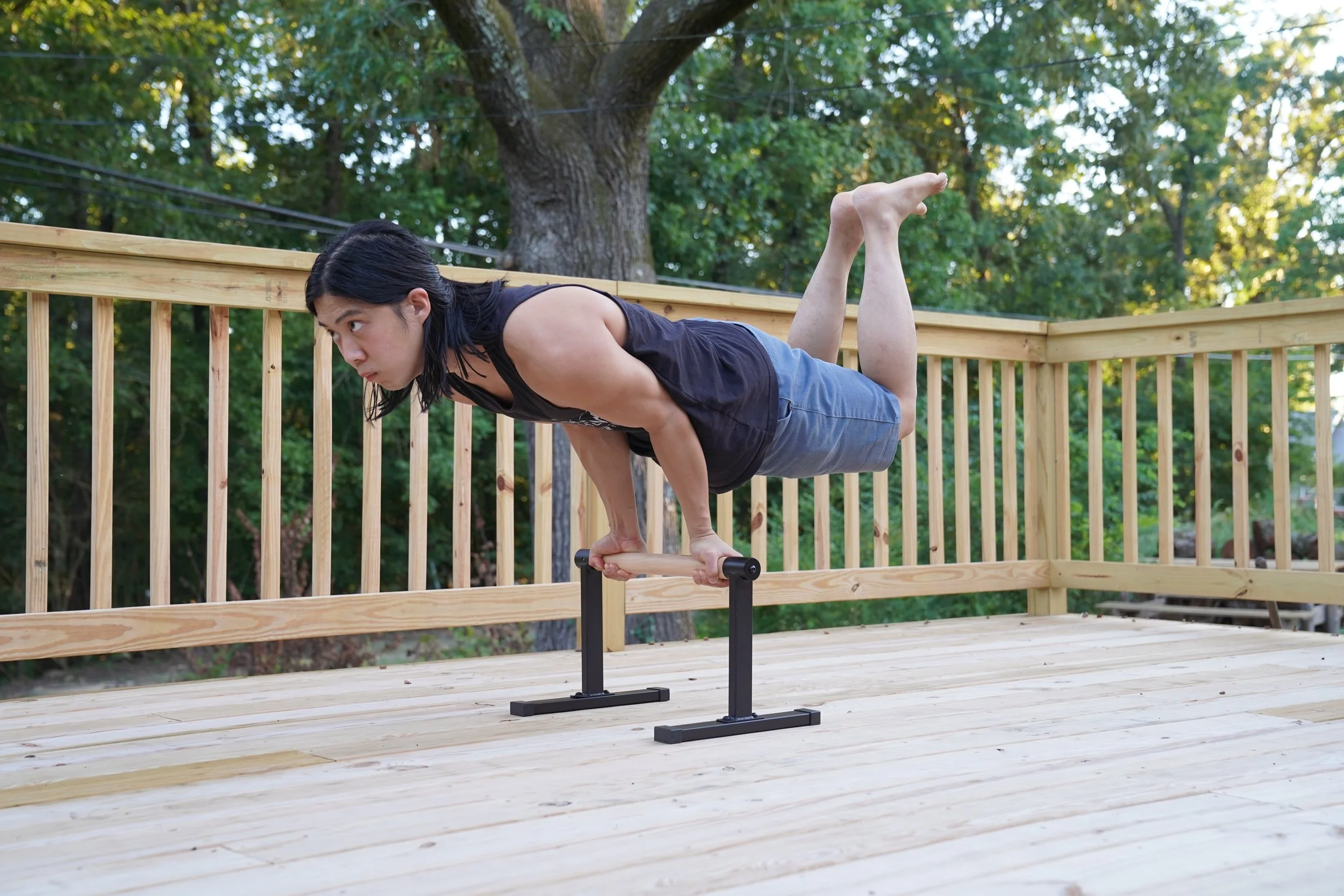 Elbow Levers | Start Your Calisthenics Journey — Hybrid Calisthenics