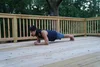 Elbow Levers | Start Your Calisthenics Journey — Hybrid Calisthenics