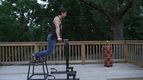 Dips | Enhance Upper Body Strength — Join Now — Hybrid Calisthenics