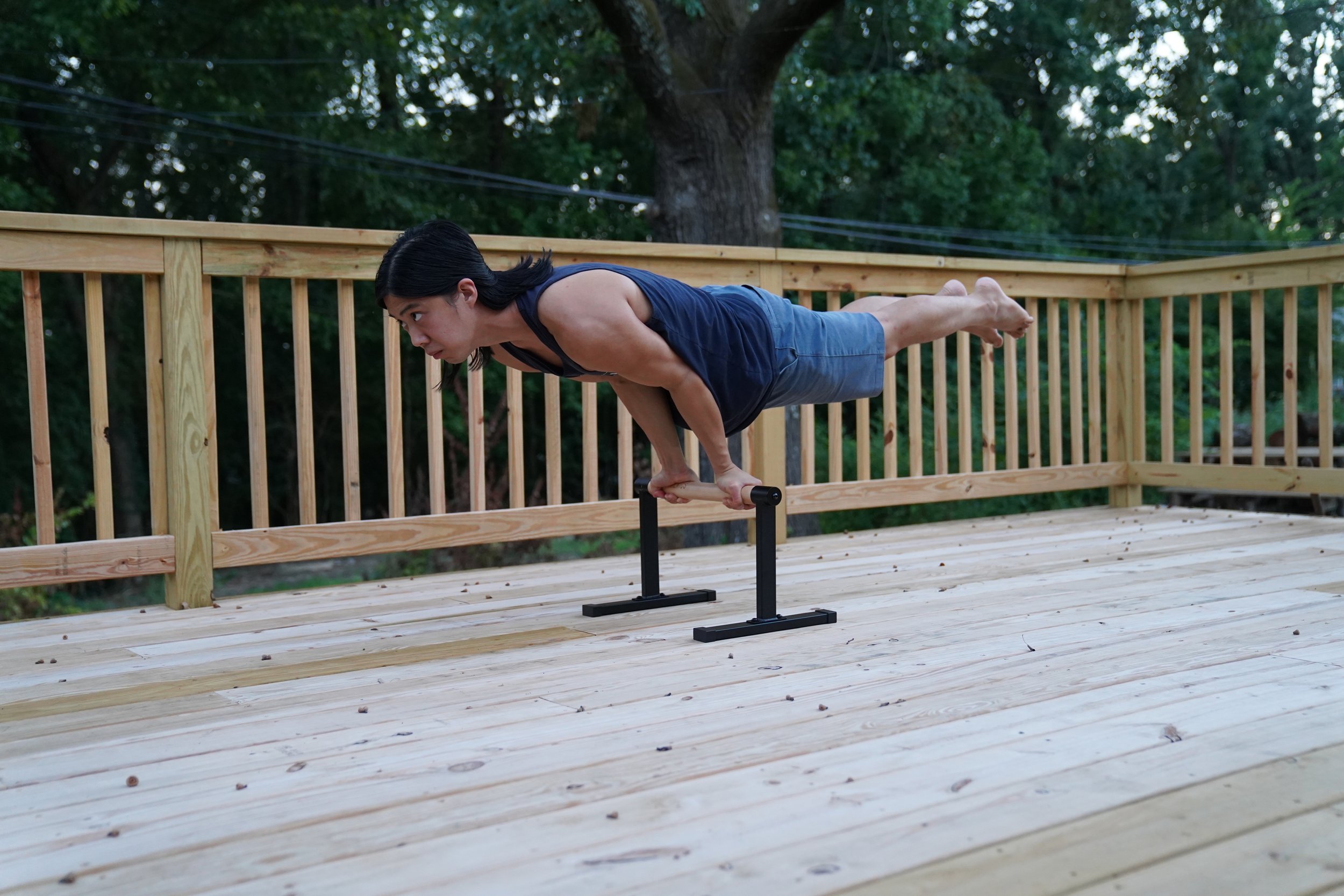 Elbow Levers | Start Your Calisthenics Journey — Hybrid Calisthenics