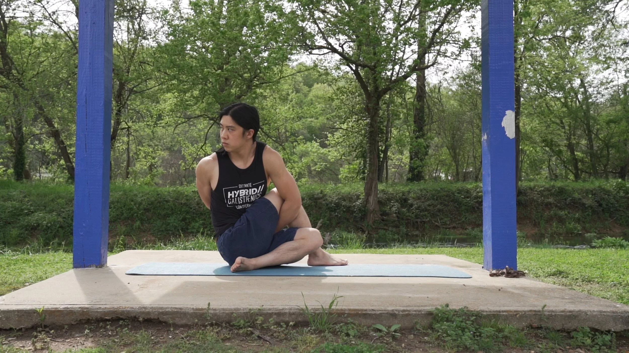 Twists | Enhance Mobility and Strength — Hybrid Calisthenics