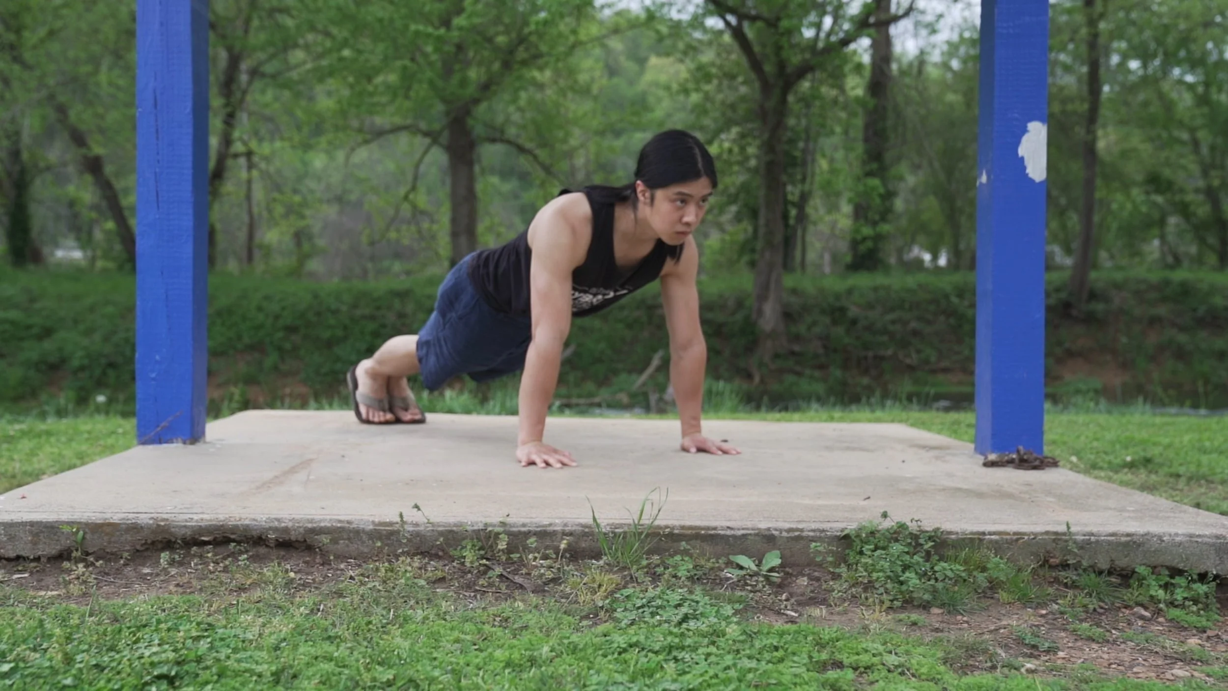 Pushups | Enhance Your Strength Now — Hybrid Calisthenics